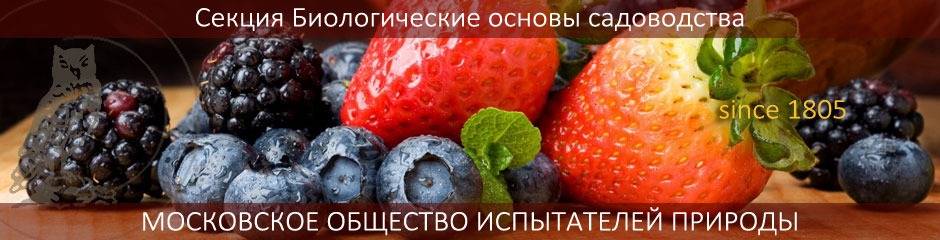 Все о ягодных